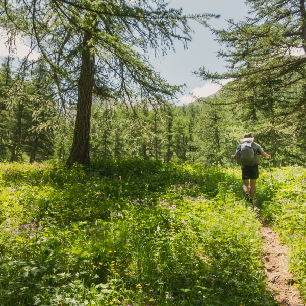 Products - Gossamer Gear